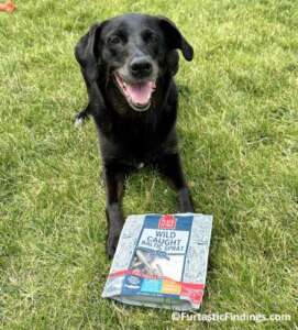 Fish-Based Dog Food For Allergies: Optimum Nutrition For Sensitive ...